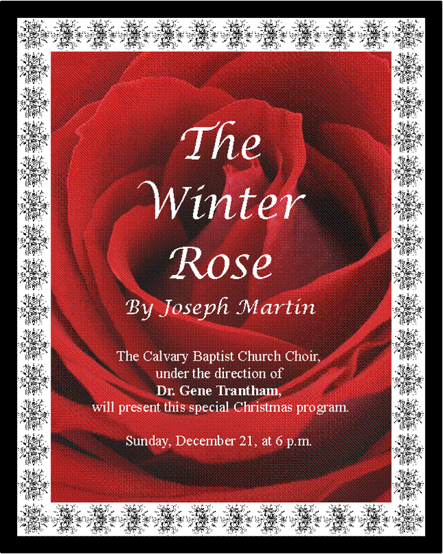 winter-rose-8 | CALVARY BAPTIST CHURCH